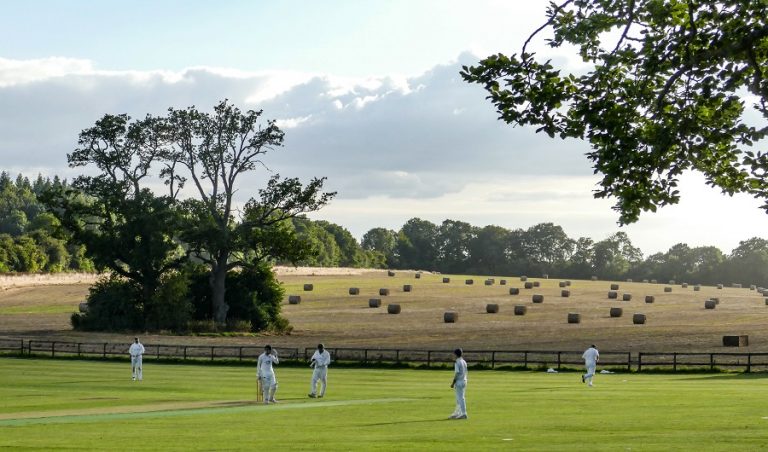 First XI Edged out by Ferndown - Oakley Cricket Club